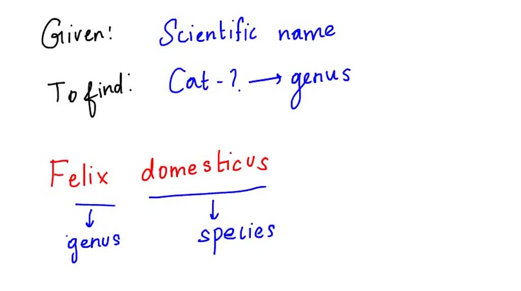 SOLVED: A cat's scientific name is Felix domesticus; which genus does ...
