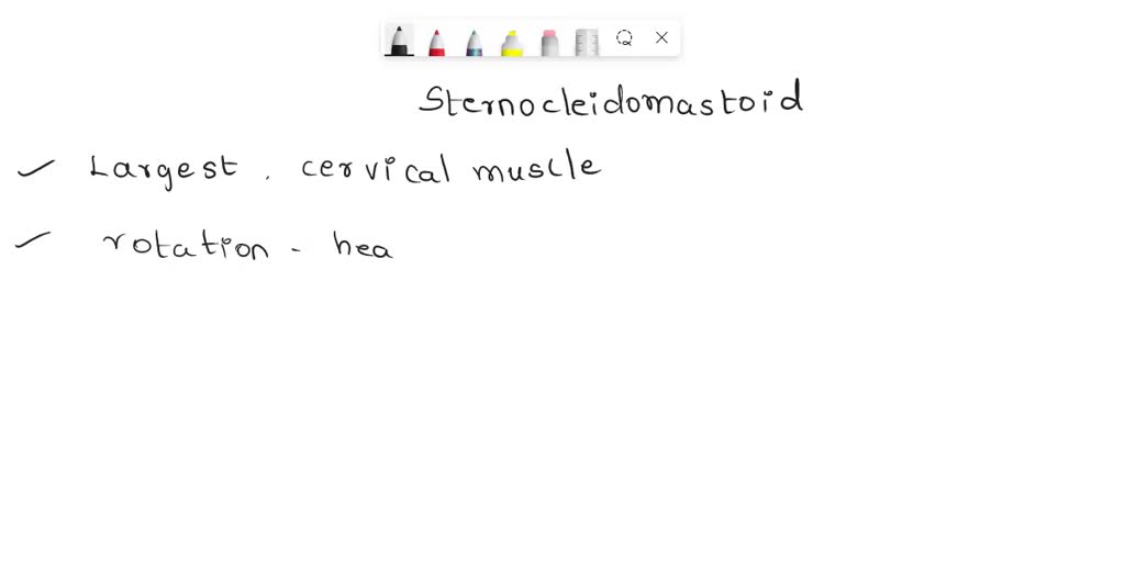 SOLVED: Some muscles that move the mandible attach to the: a. sella ...
