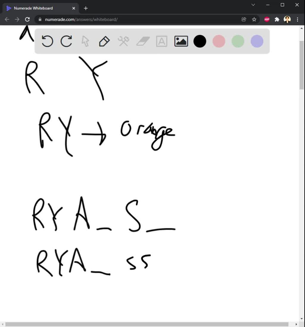 Solved Ii Sex Linked Traits In Drosophila 45 Minutes Of Recitation Time The Year Is 1910 And