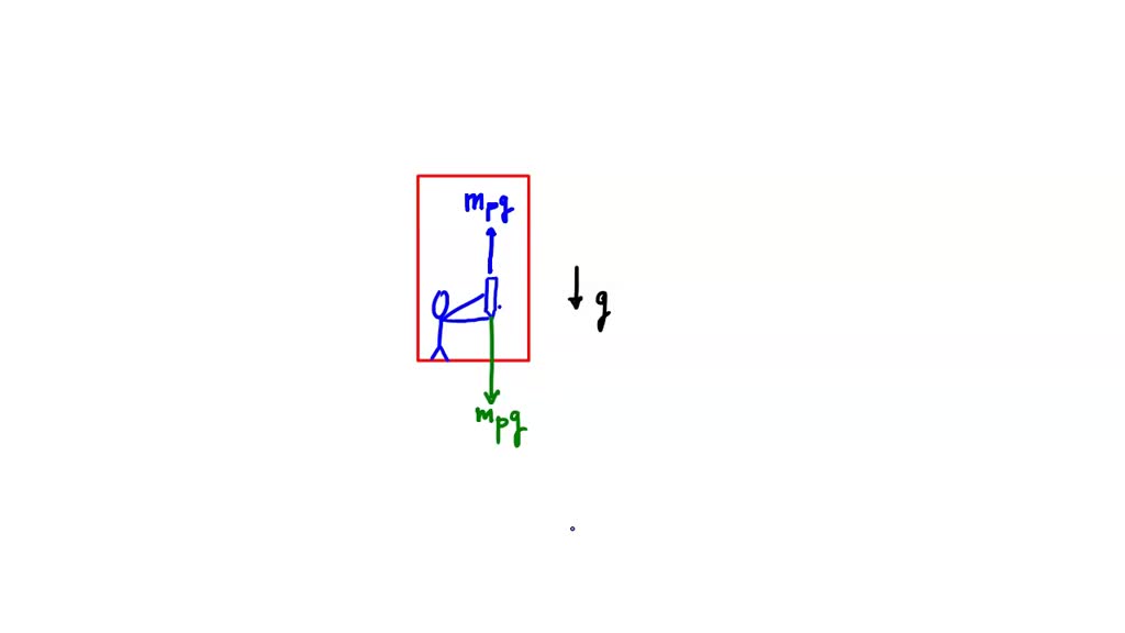 SOLVED: If you were in a freely falling elevator and you dropped a ...