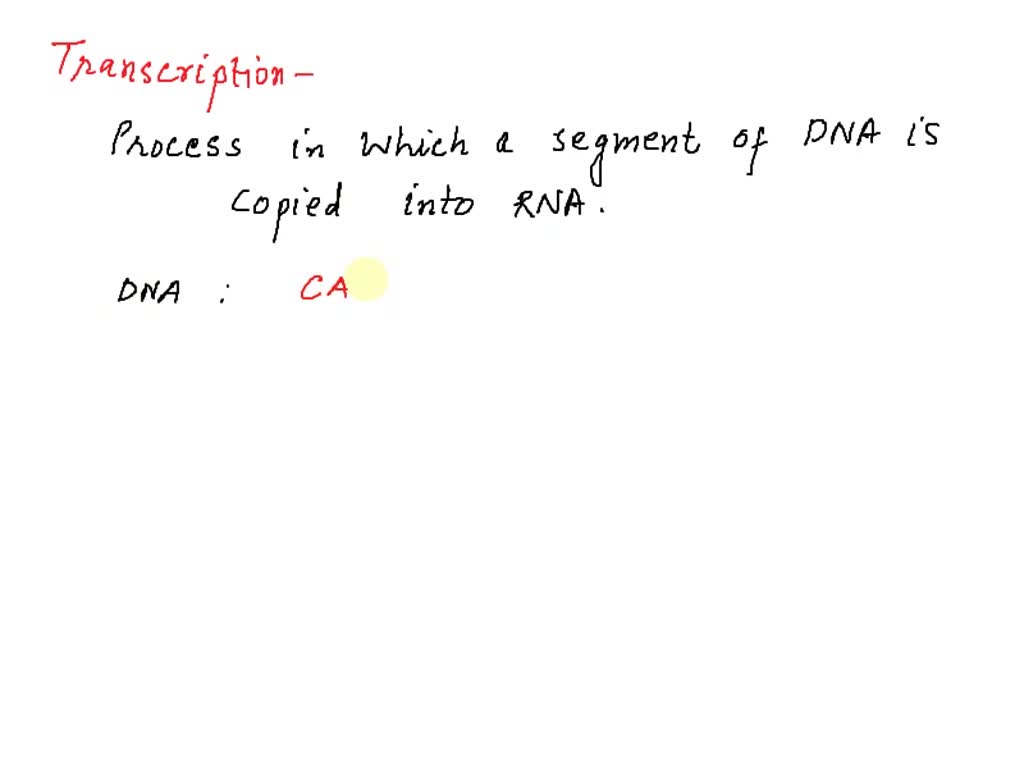 SOLVED: Transcribe the following segment of DNA into mRNA: DNA segment ... SOLVED: Transcribe the following segment of DNA into mRNA: DNA segment ...