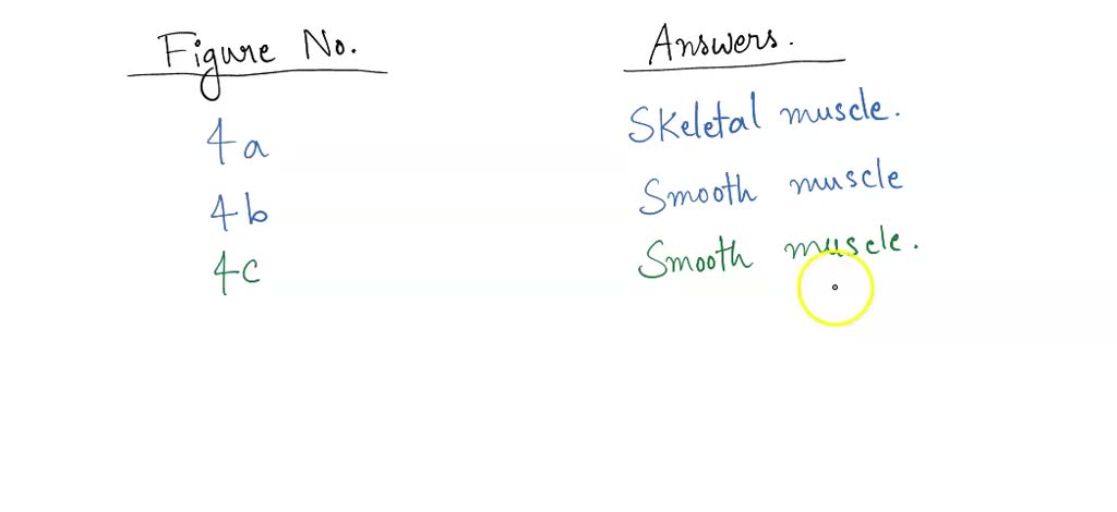 SOLVED: Text: Identify the types of muscle tissue in Figures 4a to 4f ...