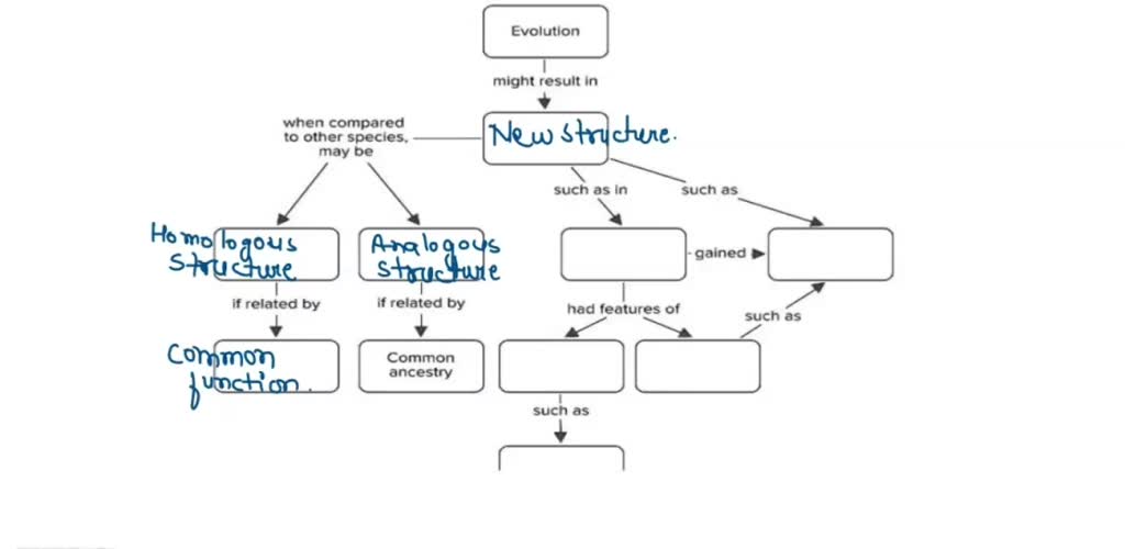Drag and drop the terms on the left to complete the concept map Gills Tiktaalik Evolution might ...