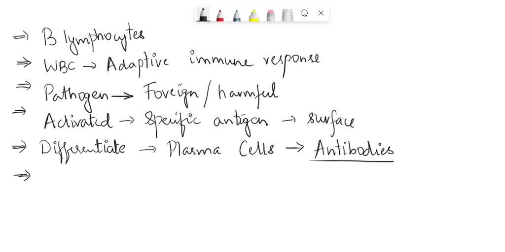 SOLVED: 8. Give the keystone bone for the arches of the foot Arch ...