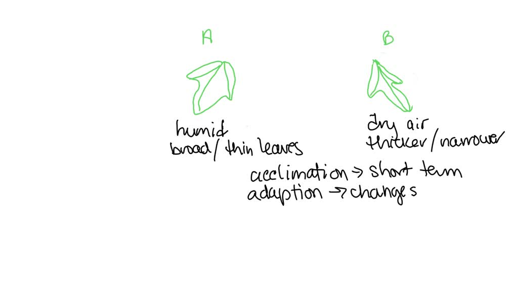 SOLVED: You encounter two populations of the same species of slope ivy ...