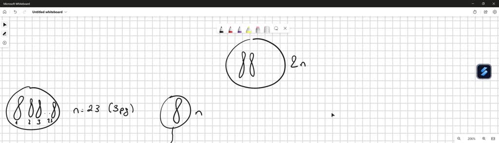 SOLVED: A human sperm cell contains about picograms of DNA. How much ...