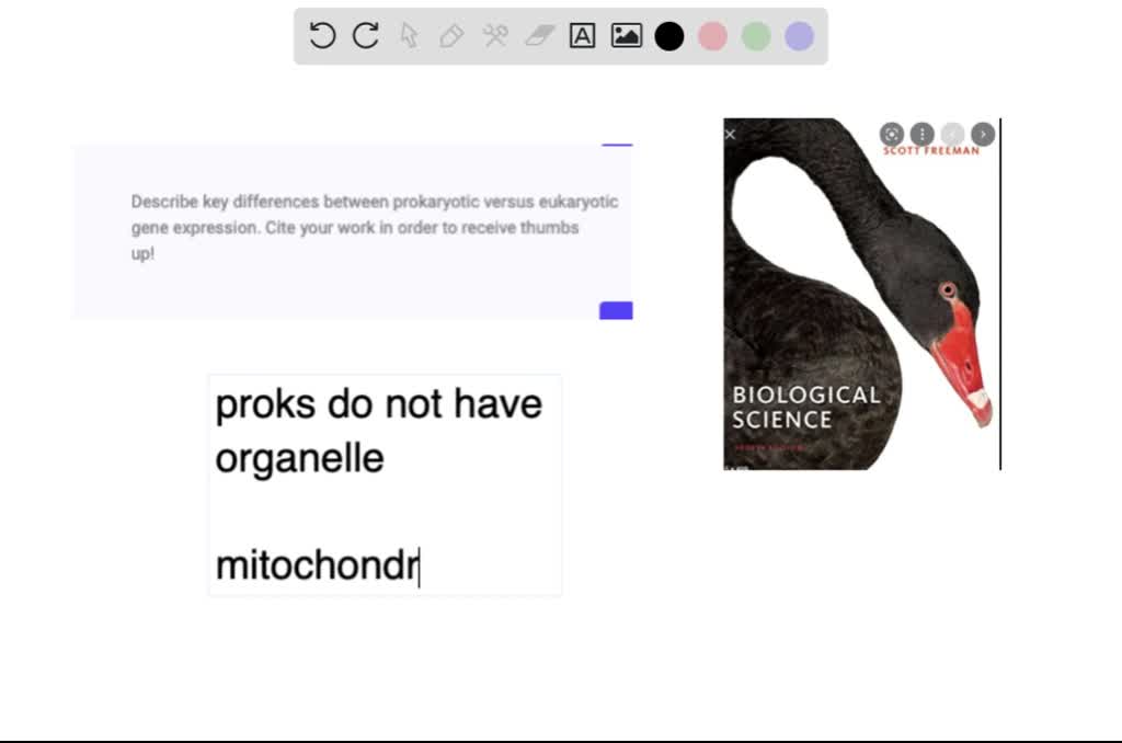Solved Prokaryotes Vs Eukaryotes Comparison Keyboard Navigable 6550