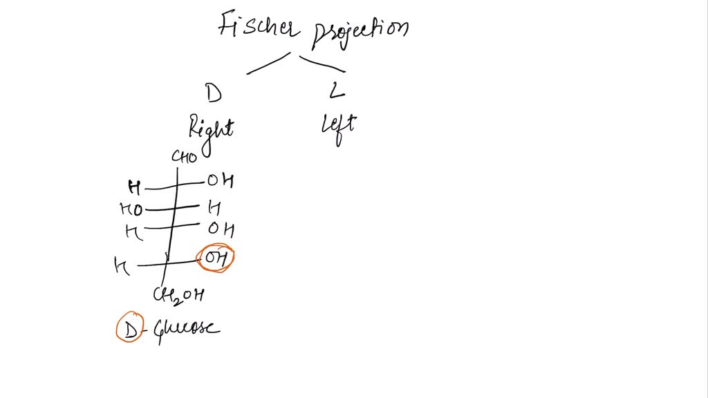 SOLVED: 'In the L- isomer of a Fischer projection of a monosaccharide ...
