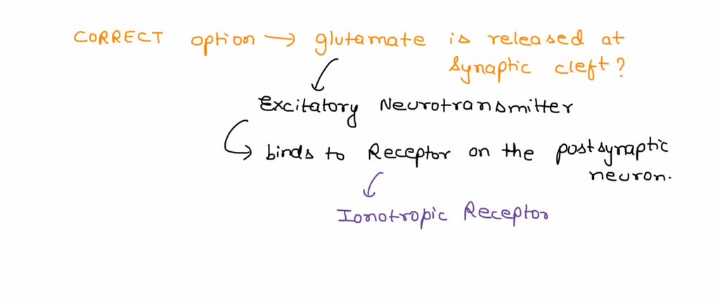 SOLVED: The correct statement about activation functions in neural ... SOLVED: The correct statement about activation functions in neural ...