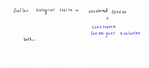 describe dont just list two examples of convergent evolution ...