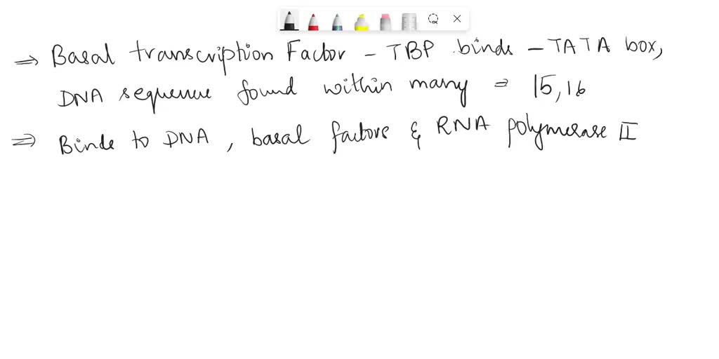 SOLVED: Question 9. What basal transcription factors can only bind to the DNA within the pre ...