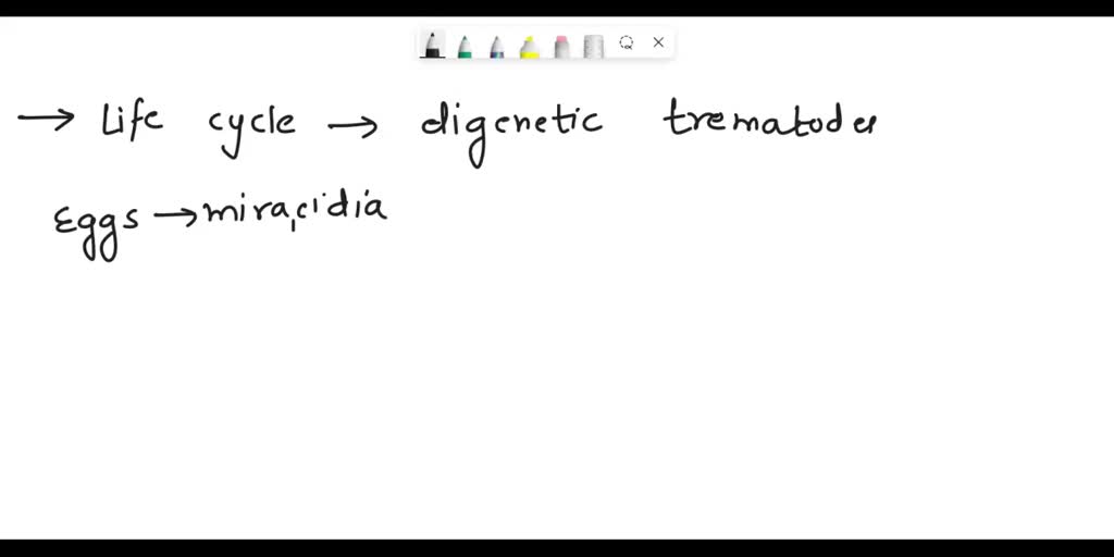 Solved Life Cycle Patterns Of Digenetic Trematodes Different Stages In The Life Cycle Of