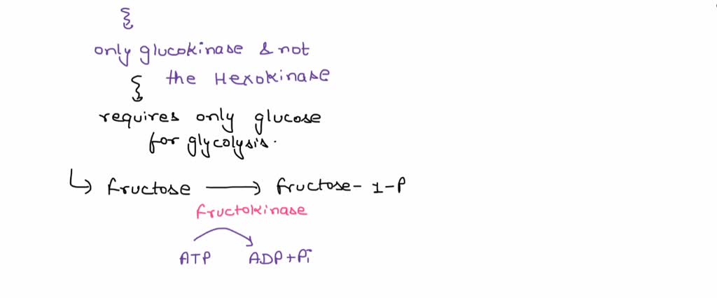 SOLVED: 16 Fructose enters the glycolytic pathway at two different ...
