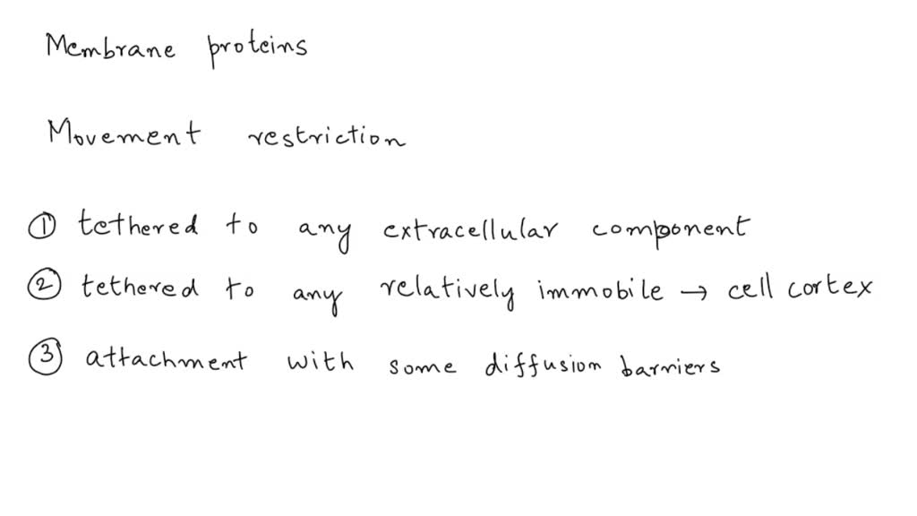 SOLVED: Which is NOT a way cells can restrict movement of membrane proteins? Select an answer ...