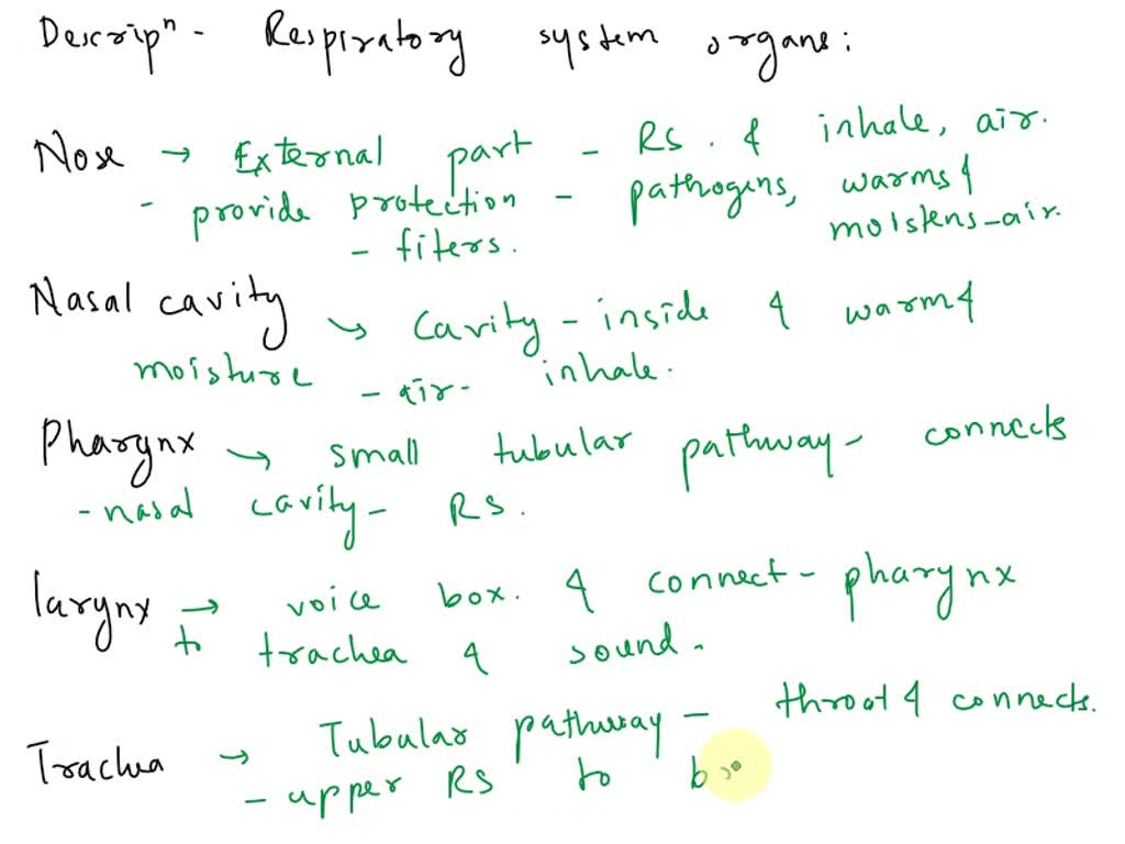 SOLVED: 1. Give a brief description of all of the organs of the ...