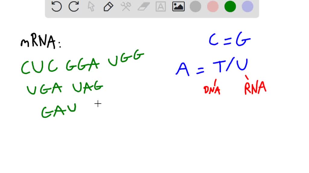 SOLVED: Use the DNA sequence and the codon table below to answer the ...