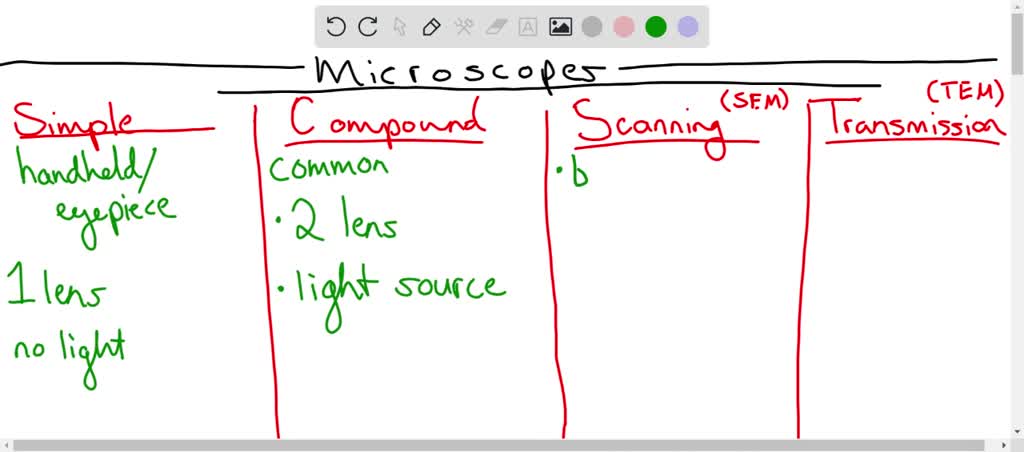 Solved Use The Drop Down Menus To Match Each Phrase Below With The Type Of Microscope It