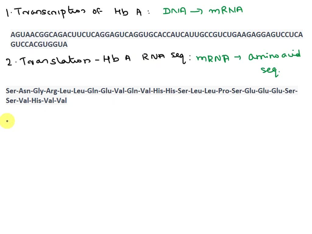 SOLVED: Experiment 1: Transcription (15 points) 1. Transcribe the following sequence: Hb A: AGT ...