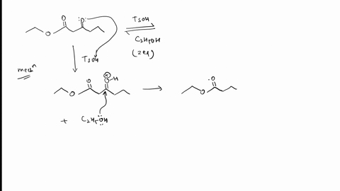 draw the major product of this reactionignore inorganic byproducts ...