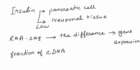 INS gene (insulin) Shown above is the human INS gene model...