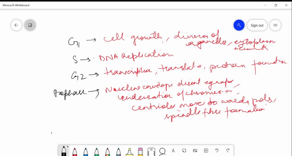 SOLVED: In the light micrograph below of dividing cells near the tip of an onion root, identify ...