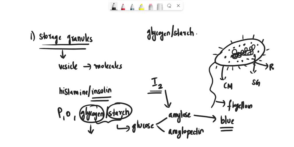 SOLVED: Bacterial storage of granules in their cytoplasm can be stained ...