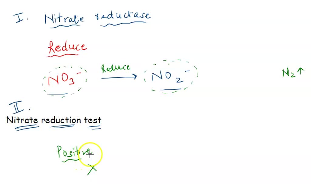 SOLVED: In some bacteria, nitrate reductase is an enzyme that reduces ...
