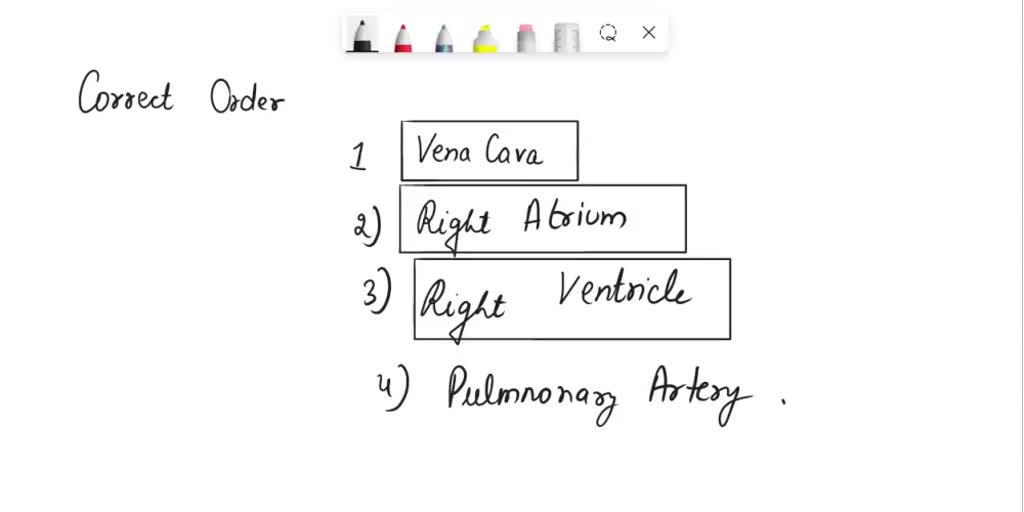Place the following steps in the correct order from left to right to ...