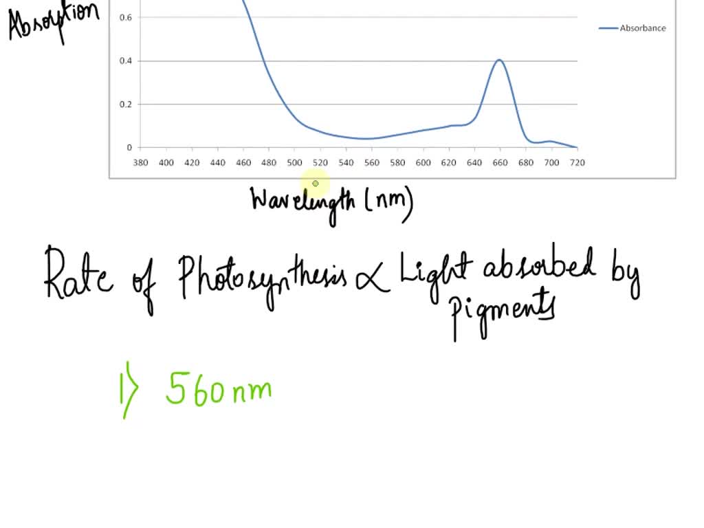 SOLVED: 2. Absorption spectra graph for carotenoids and chlorophyll ...