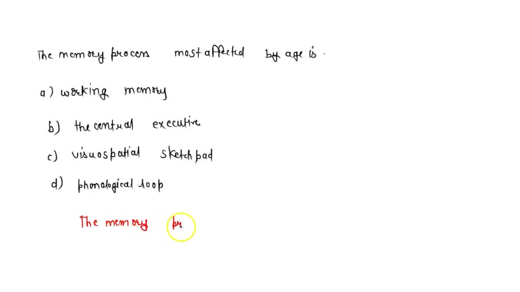 SOLVED: The phonological loop, visuospatial sketchpad, and central ... SOLVED: The phonological loop, visuospatial sketchpad, and central ...