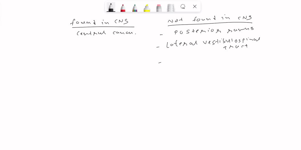 Drag each label into the appropriate category to designate whether the ...