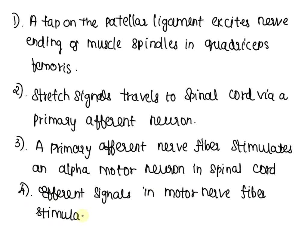 SOLVED: Place the following descriptions into the correct order to ...