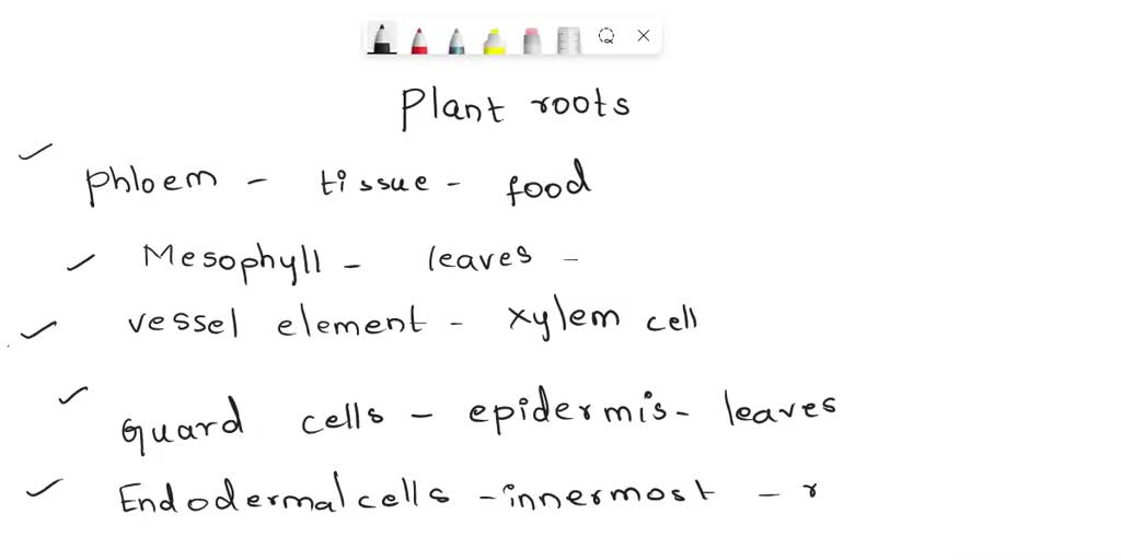 SOLVED: A. Which of the following are types of cells in plant roots? Select all that apply. a ...