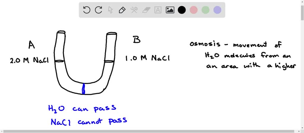 SOLVED: Two solutions are in a U-tube with semipermeable membrane ...