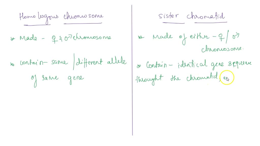 SOLVED: What is the structure of a chromosome? What is the difference ...