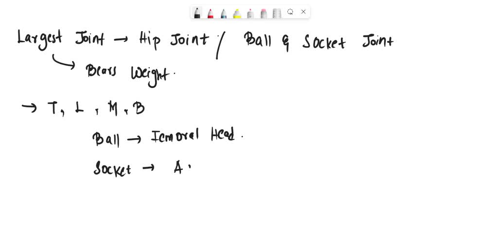 SOLVED: Select all the components of the hip joint that contribute to ...