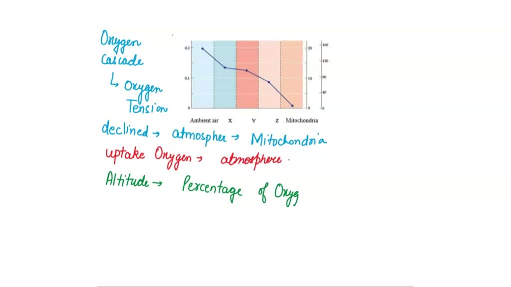 SOLVED: 16. Label and use Fig 3 to answer: "What is the oxygen cascade ...