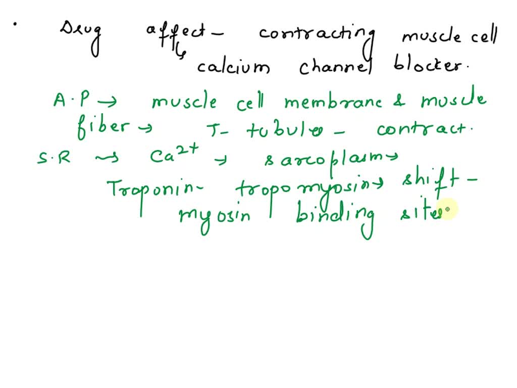 SOLVED: Texts: A. Explain the role calcium has in muscle contraction. B ... SOLVED: Texts: A. Explain the role calcium has in muscle contraction. B ...