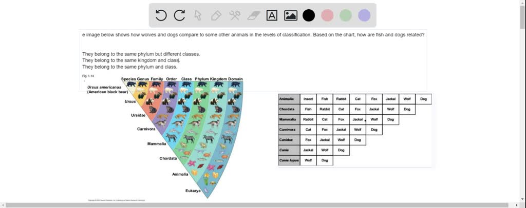 SOLVED: teniendo en cuenta las características del perro complete los ...