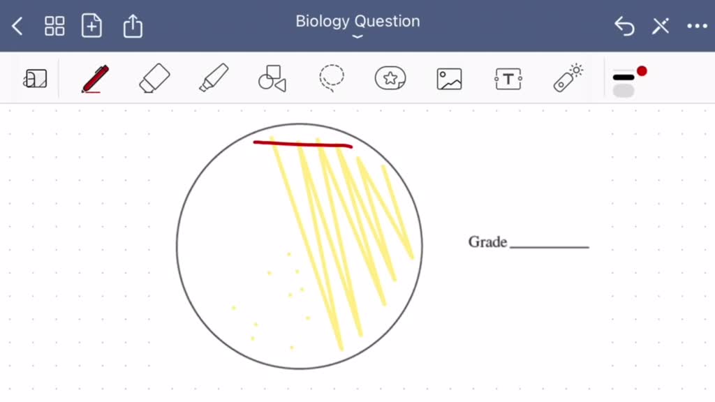 SOLVED: Chapter 9, Problem 1R Problem: Evaluation of Streak Plate Show ...