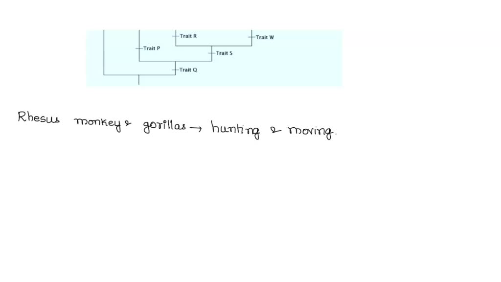 SOLVED: The evolutionary tree below indicates the relationships among ...