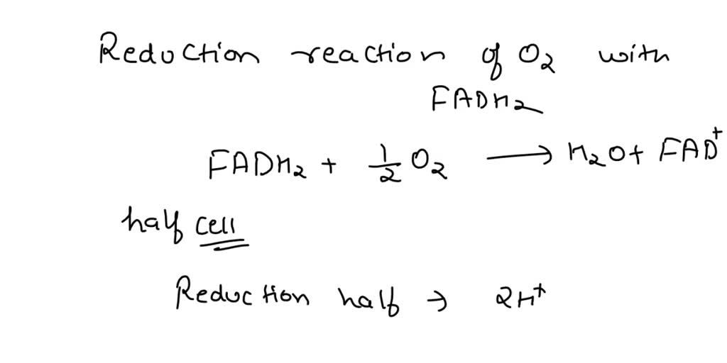 SOLVED: The table shows standard reduction potentials; EÂ° for ...