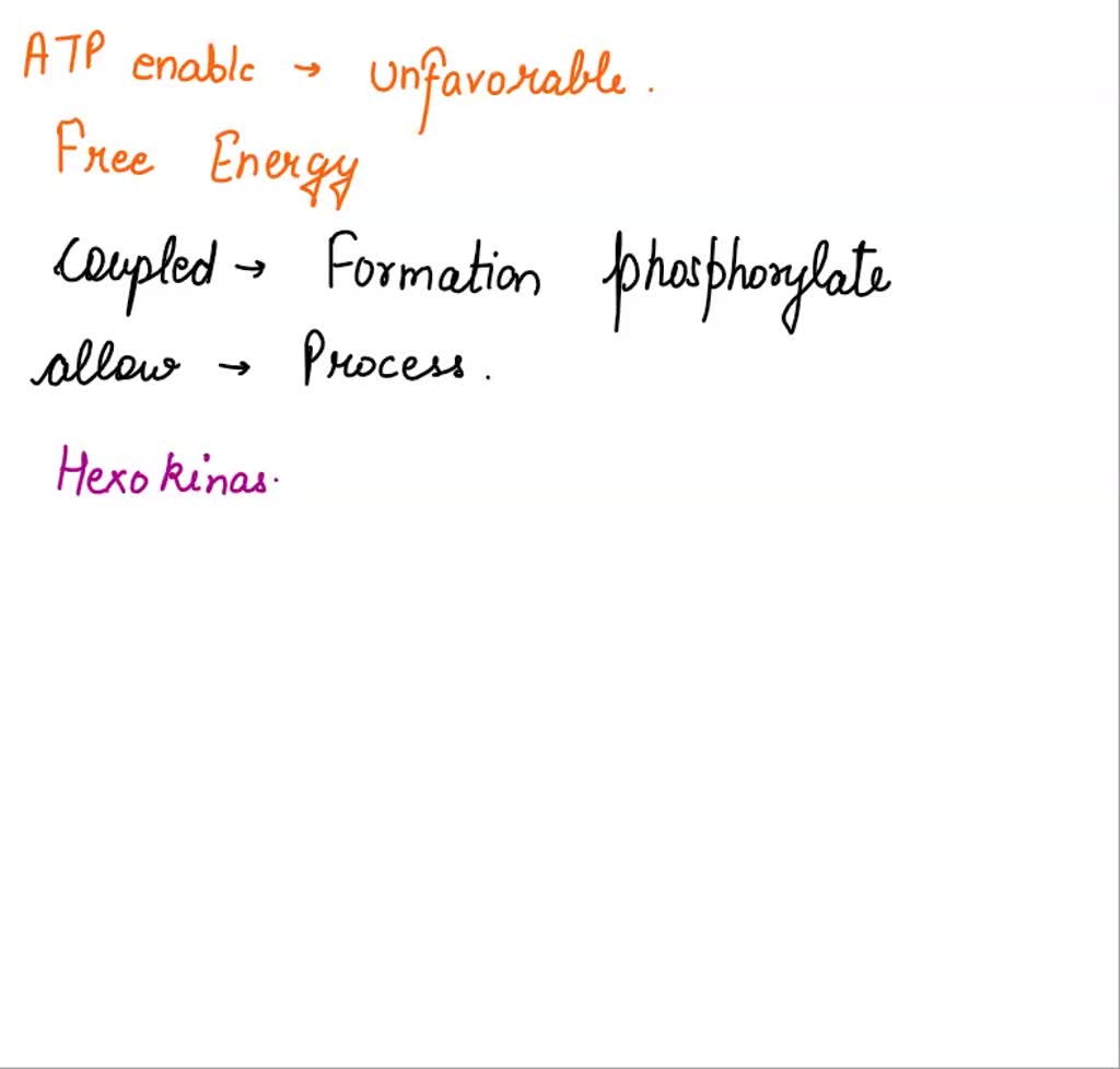 SOLVED: How does ATP enable energetically unfavorable reactions, such ...