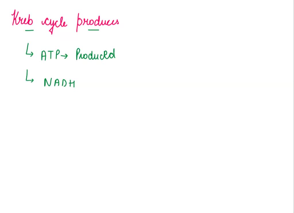 SOLVED: Question 16 (27 points): The Krebs cycle produces oxygen and ...