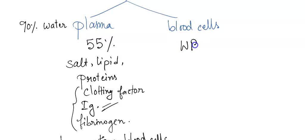 SOLVED: Texts: The blood vessels of the arteries of the head and neck ...
