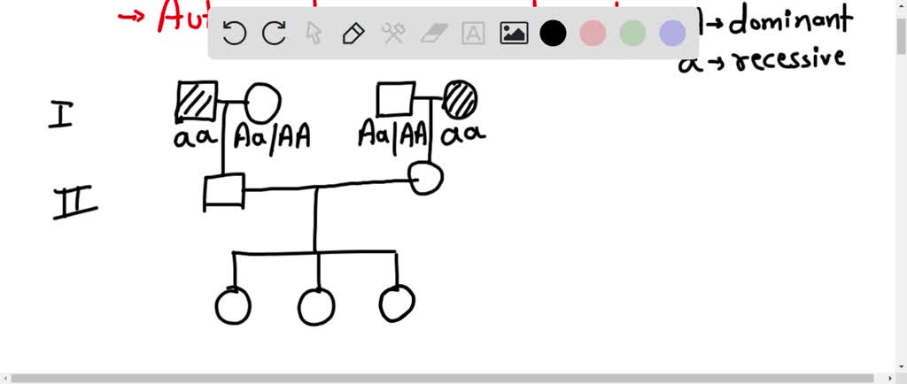 SOLVED: LO7: Calculate the probability of autosomal phenotypes of ...