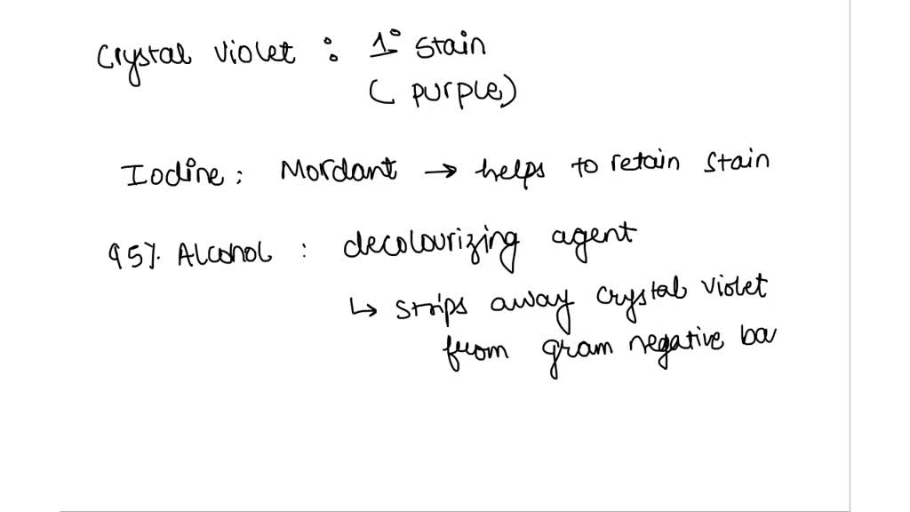SOLVED: 5 Question 24 16p6s Exphineach sten otthegm staining procedure ...