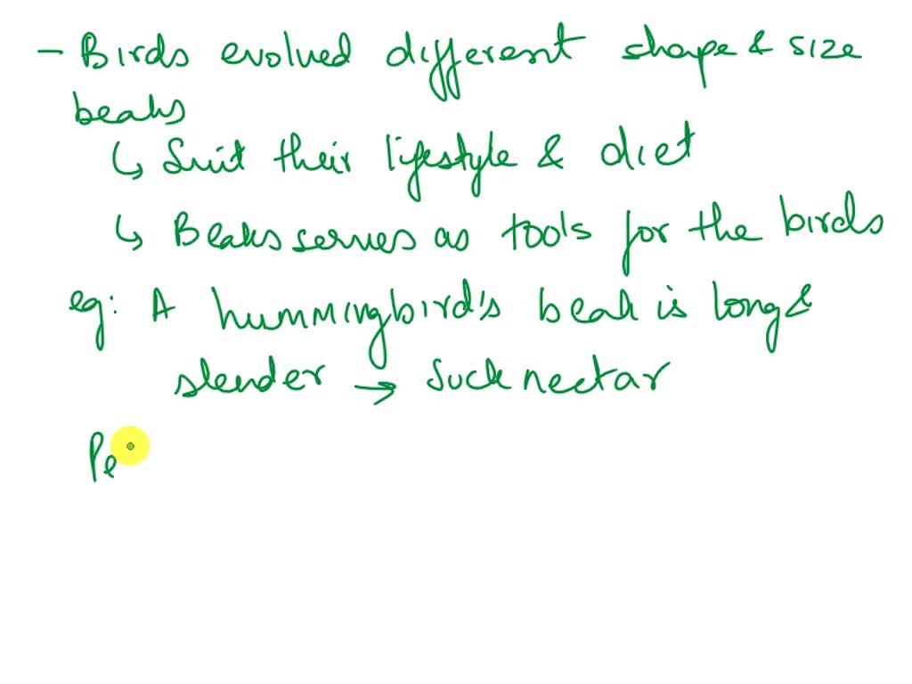 SOLVED: in three to five sentences, explain why birds have different lengths and shapes of beaks