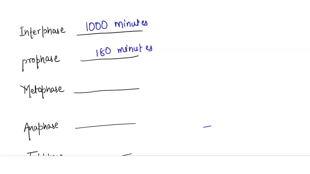 SOLVED: Time Span for Phases of the Cell Cycle in the Onion Root Tip Cycle Knowing that the cell ...