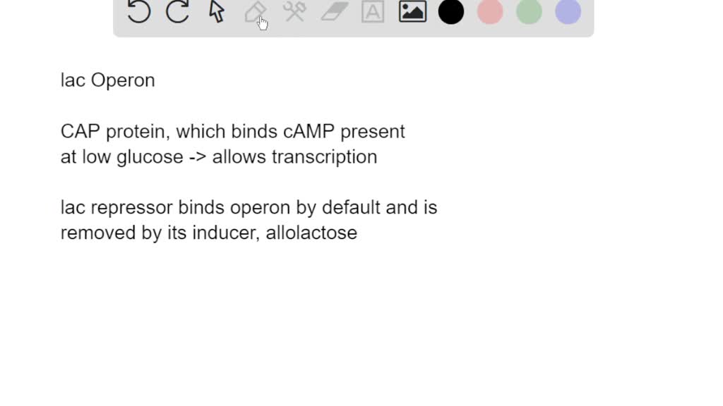 SOLVED: (I = lac repressor gene; P = lac promoter; O = lac operator ...